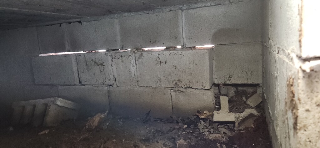 Basement Repair Guide for Homeowners | Expert Advice